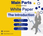 White Paper Writing Essentials: Key Parts & Structure for Success